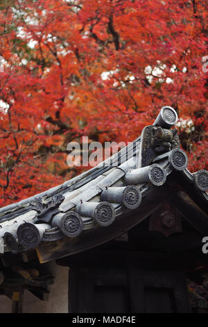 Detail of a japanese roof with round roofing shingles Stock Photo - Alamy