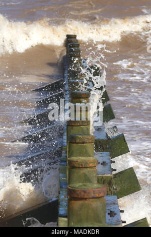 SPURN POINT WTHERNSEA BIRD WATCHING Stock Photo - Alamy