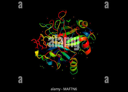 3D model of a protein molecule. The spatial oriented structure of the ...