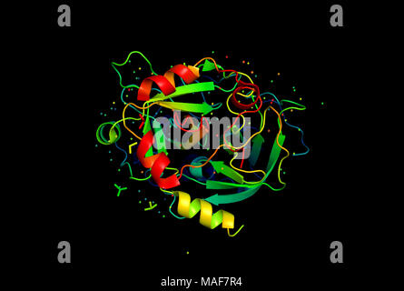 3D model of a protein molecule. The spatial oriented structure of the ...