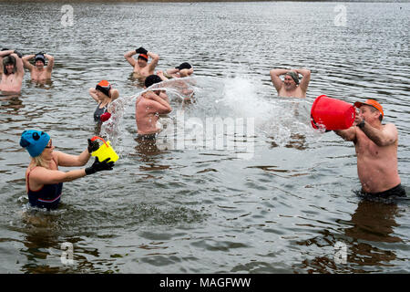 Belgium. 02nd Apr, 2018. Smigus Dyngus or 'Wet Monday', Polish ...