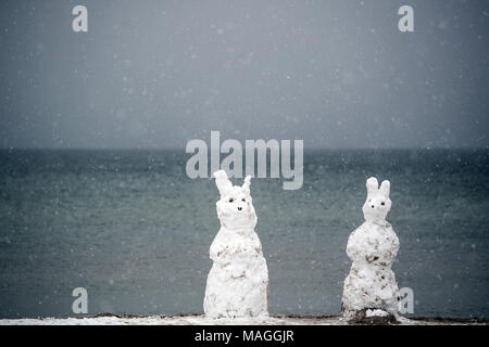 01 April 2018, Germany, Burgtiefe auf Fehmarn: "Easterbunny-Snowmen ...