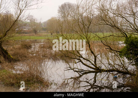 River Nadder, Wiltshire. 2nd April 2018. UK Weather: Flood Warning ...