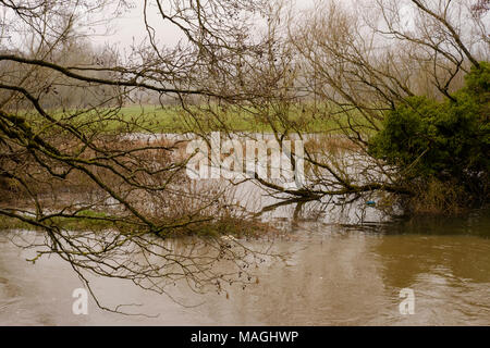 River Nadder, Wiltshire. 2nd April 2018. UK Weather: Flood Warning ...