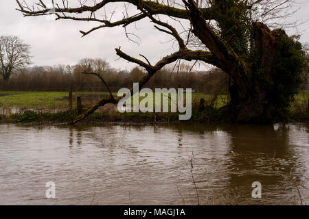 River Nadder, Wiltshire. 2nd April 2018. UK Weather: Flood Warning ...