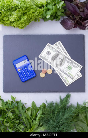 Fresh vegetables and dollars on slate. Lettuce, basil, parsley and ...