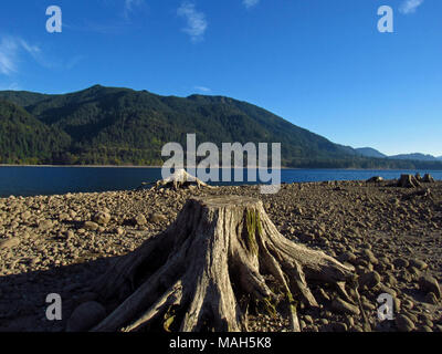 Yale Lake in WA Stock Photo - Alamy