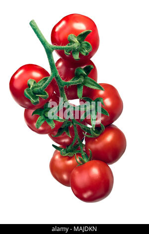 Cluster of mid-sized globe tomatoes (Tondo, Grappolo). Clipping paths ...