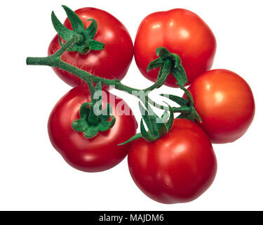 Cluster of mid-sized globe tomatoes (Tondo, Grappolo). Clipping paths ...