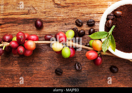 Cofffea fruits, leaves, roasted coffee beans Stock Photo - Alamy