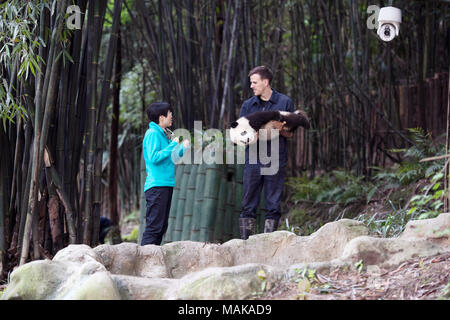 PANDAS, Jacob Owens, Chengdu Research Base of Giant Panda Breeding ...