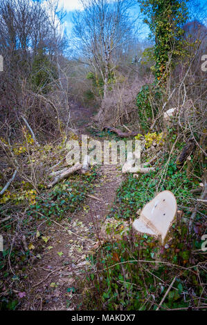 Footpath maintenance, South Wales Stock Photo - Alamy