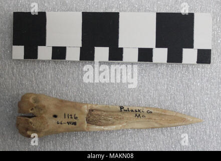 Native American bone awl Stock Photo - Alamy