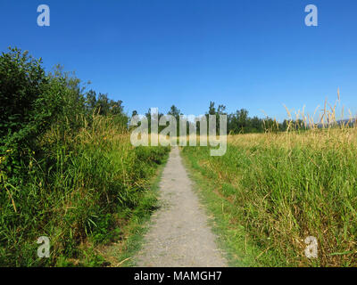 Steigerwald Lake NWR in WA Stock Photo - Alamy