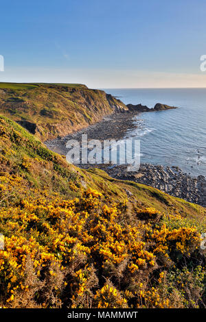 Marsland Valley; Devon; UK Stock Photo - Alamy