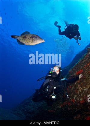 Scuba divers at "El Bajón" dive site, a famous volcanic seamount in Mar ...