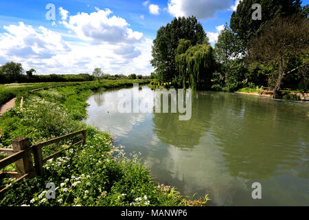 The Riddy nature reserve, river Ivel, Sandy town, Bedfordshire, England ...