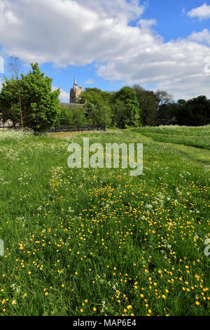 Summer view over the remains of Burwell Castle, Burwell village ...