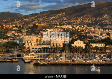 Funchal Port, Madeira Island, Portugal, Europe Stock Photo - Alamy