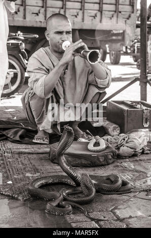 A cobra dancing for a snake charmer in the Night Market in Marrakesh ...