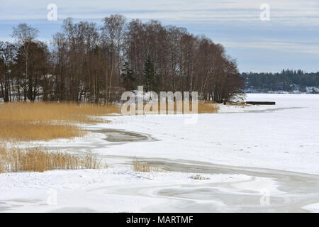 Forest landscape in Finland in spring Stock Photo - Alamy