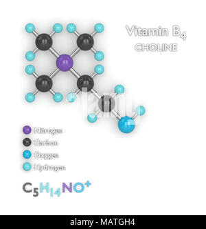 3d render of molecular structure of Choline isolated over white ...
