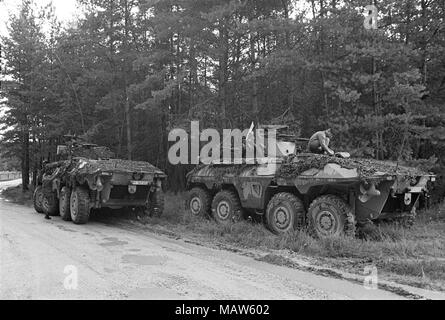 German soldier in an armored reconnaissance car, 1940 Stock Photo - Alamy
