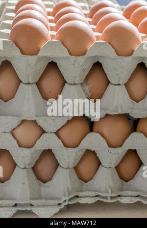A row of fresh brown organic eggs placed in a cardboard tray package on ...