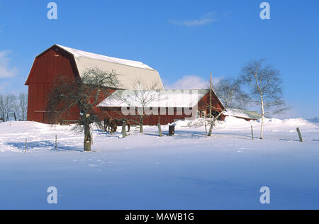 Red Barn In Winter Snow. Historic Barn. Old red barn at Daniel Arnold ...