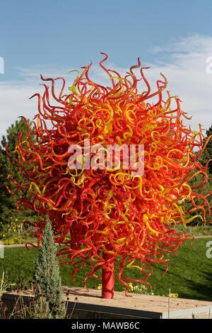 Tree of Medusa Stock Photo - Alamy
