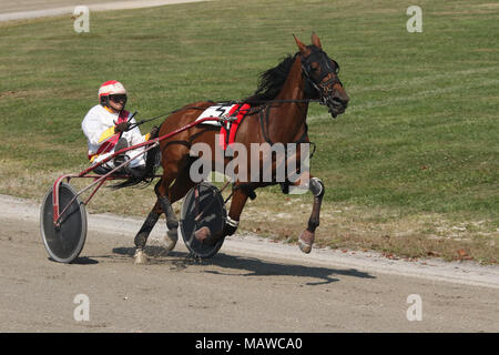 Horse Harness Racing. Canfield Fair. Mahoning County Fair. Canfield ...