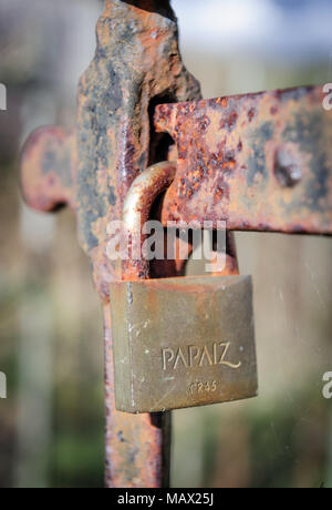 Rusting padlock securing a gate on private land in South Wales Stock ...