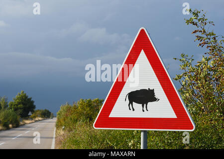 Wild boar warning road sign, Korcula island, Croatia, Sep 2018 Stock ...