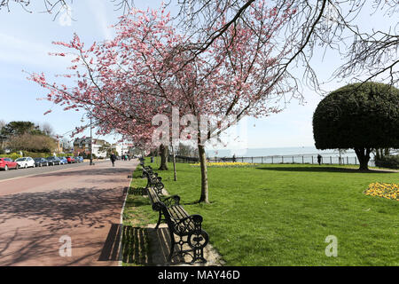 Southend, UK. 5th April, 2018. UK Weather: A beautiful spring day, blue ...