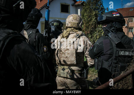 Members of the Serbian Special Anti-Terrorism Unit (SAJ) and U.S ...