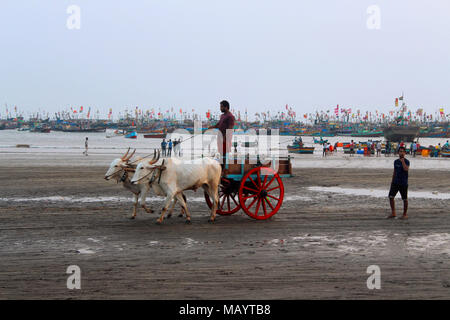Bullock cart on white background Stock Photo - Alamy