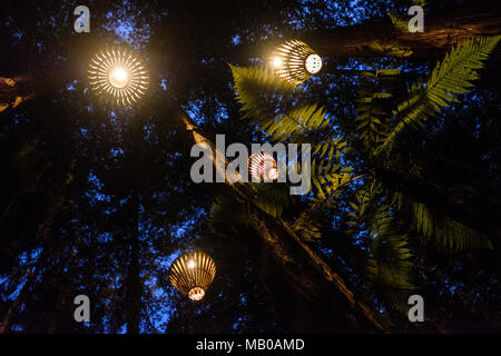 Rotorua, New Zealand - November 11, 2017: Outdoor Lighting by David ...
