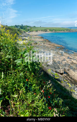 Portscatho, Roseland Peninsula, Corwall UK Stock Photo - Alamy