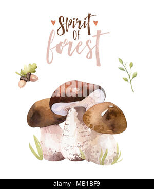 Watercolor bohemian forest mushrooms set, woodland isolated poster ...