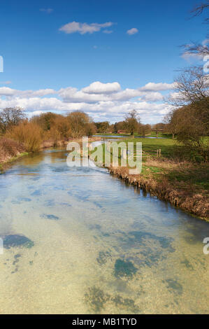 Driffield Trout stream, a world-famous chalk stream with its crystal ...