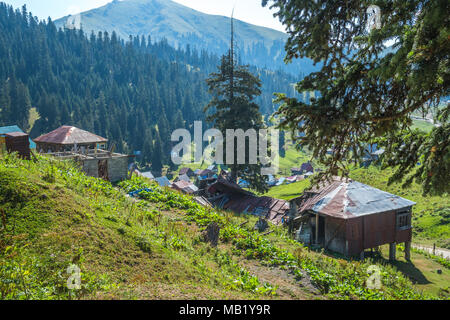Huts in Bakhmaro village, one of the most beautiful mountain resorts of ...