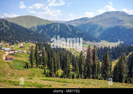 Bakhmaro village, one of the most beautiful mountain resorts of Georgia ...