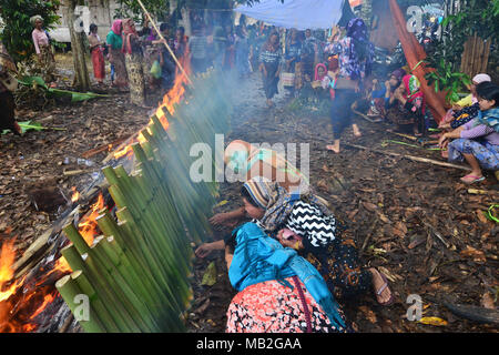 Meratus Dayak women make traditional food from sticky rice and cooked ...