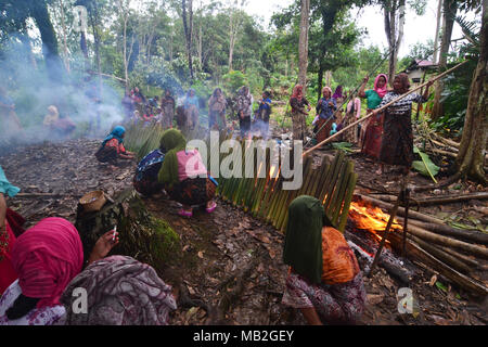 Meratus Dayak women make traditional food from sticky rice and cooked ...