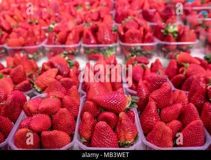 Grocery store STRAWBERRY display Stock Photo - Alamy