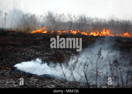 Dry column for fire safety Stock Photo - Alamy