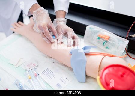 Doctor practising inserting an IV (intravenous) line on a training ...
