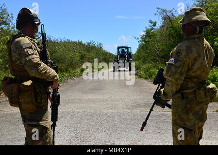 An Australian Army service member stands at his post as catafalque ...