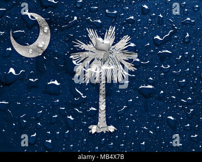 Metallic South Carolina state flag, South Carolina flag background ...