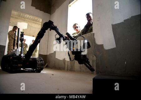BAHRAIN (Feb 20, 2018) Explosive Ordnance Disposal Technician 2nd Class ...
